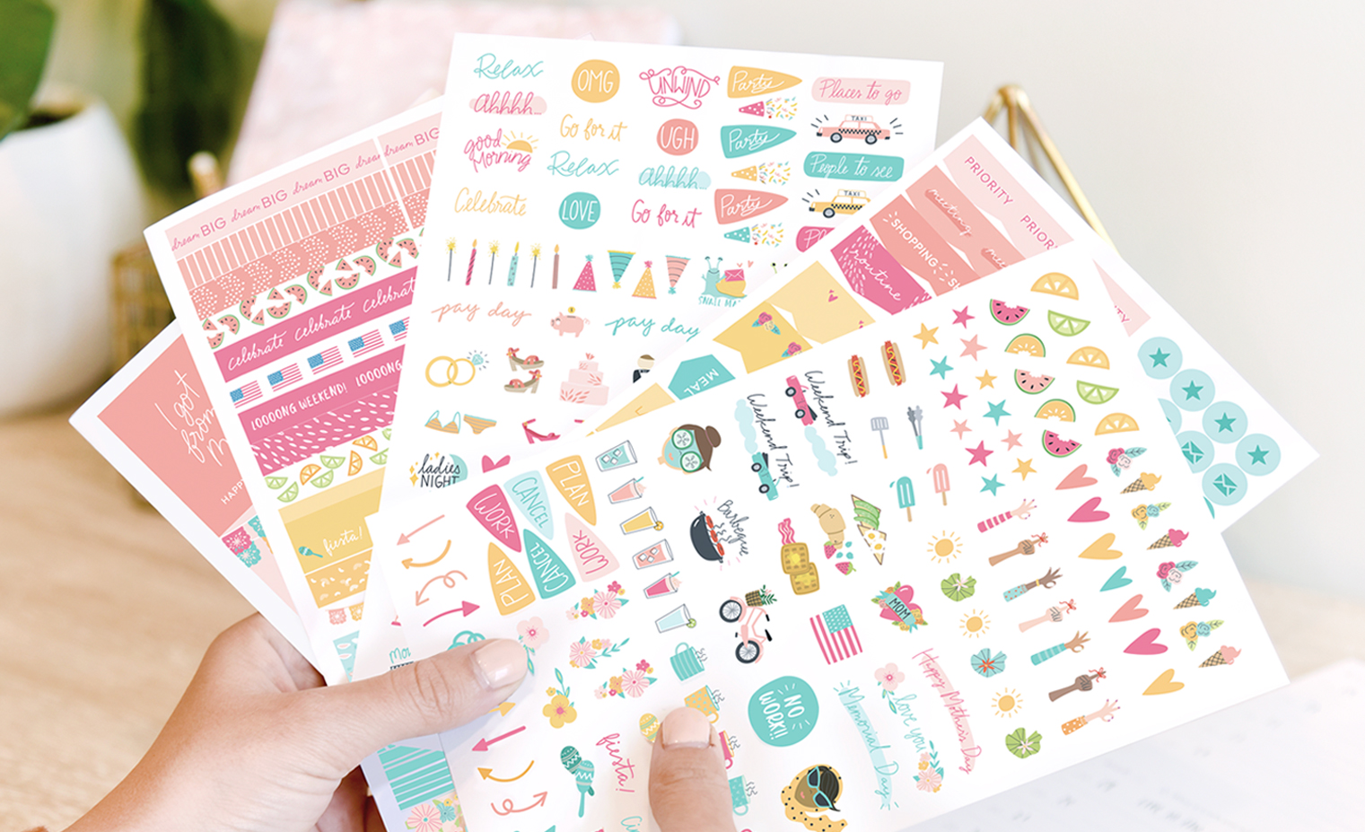 Plum Paper - Planner Folios and Sticker Books