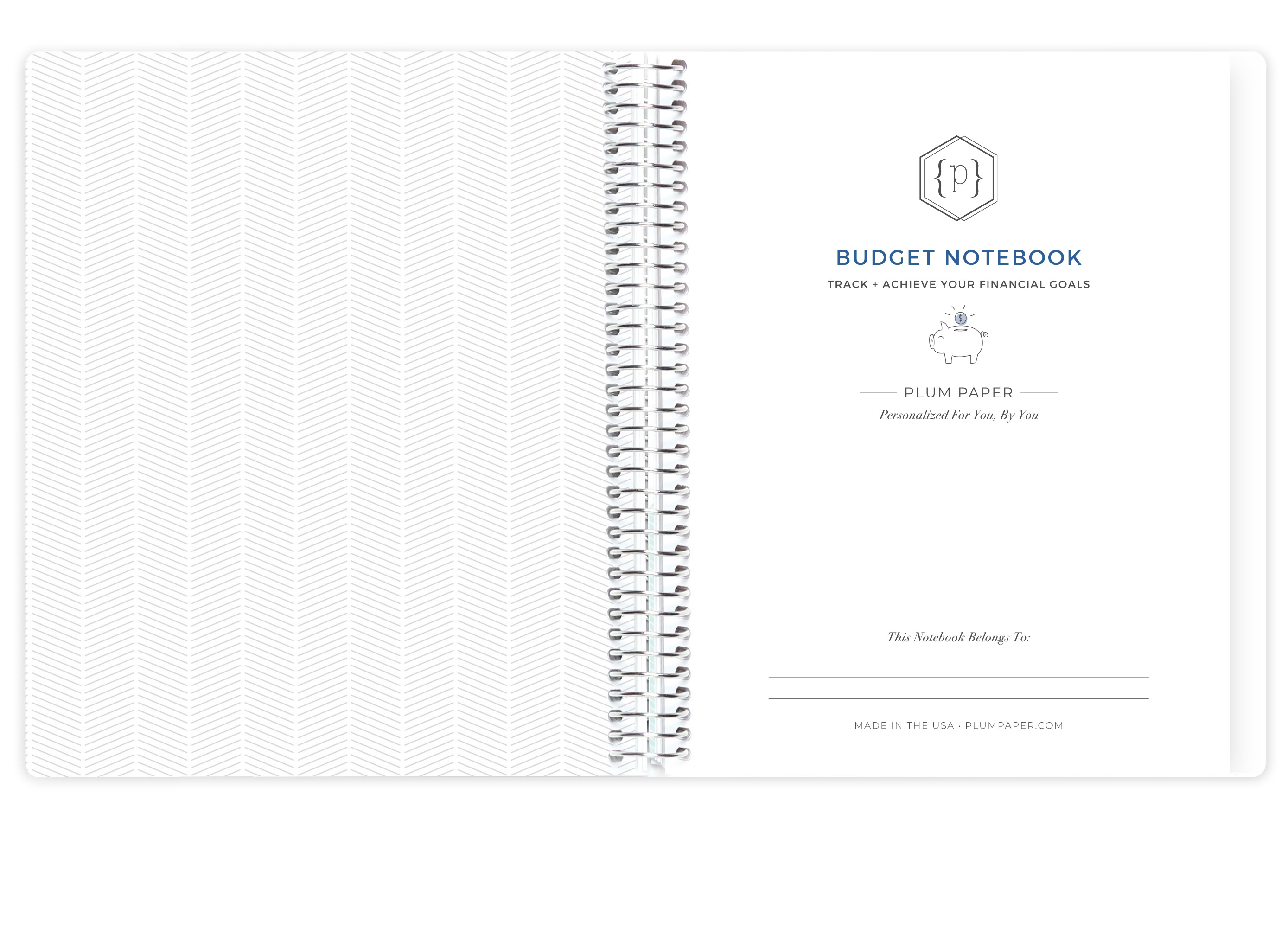 Custom 7x9 Guided Notebook- Budget Pages | Plum Paper